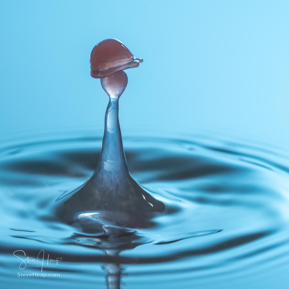 Fun with water drops - Backyard Image